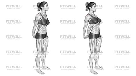 Bodyweight Standing Back Stretch Exercise Guide Video Techniques