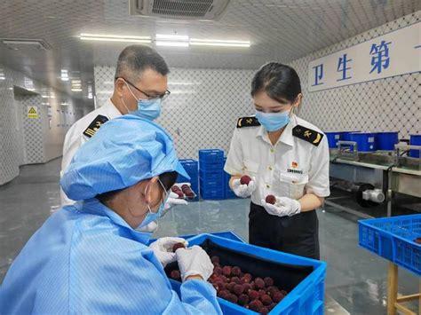 浙江多地杨梅卖到国外，上飞机前过的这道 关”在提速