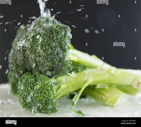 Broccoli Under A Microscope At Jeffery Royce Blog