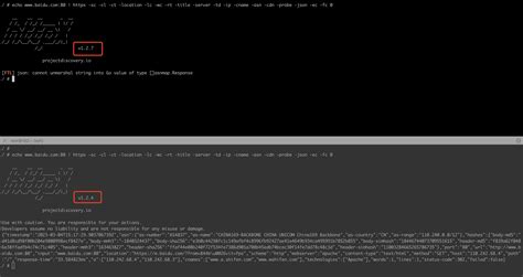 [ftl] json cannot unmarshal string into go value of type []asnmap