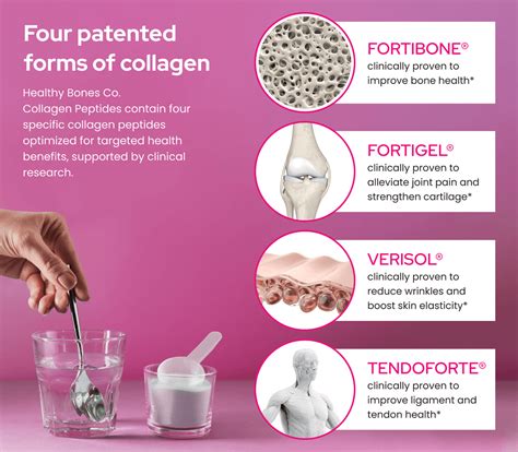 Healthy Bones Co Collagen Peptides For Bone Density