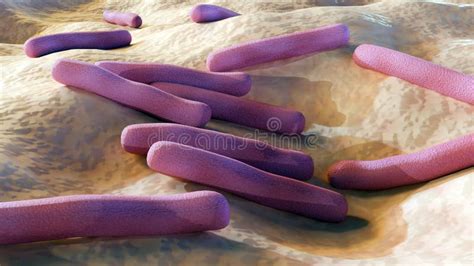 Mycobacterium Tuberculosis Also Known As Koch S Bacillus Stock Illustration Illustration Of