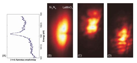 X Ray Absorption Spectroscopy At Flash