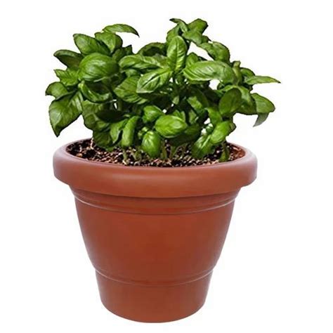 Garden Heavy Plastic Planter Pot Gamla 6 Inch Brown Pack Of 1