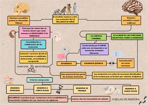 Mapa Conceptual Memoriapdf