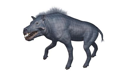 Entelodont 3d Model Turbosquid 2411217