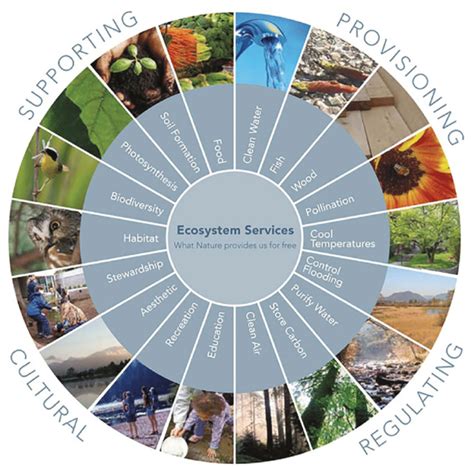 Millennium Ecosystem Assessment Imvelo Ltd Uk