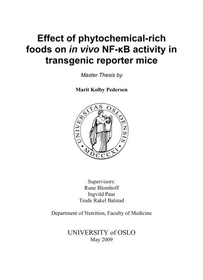 I N Vivo Experiments Effect Of Phytochemical Rich Foods On In Vivo Nf