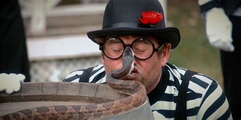 Jackass 5 Would Risk Too Much Disappointment After The 559m Franchise