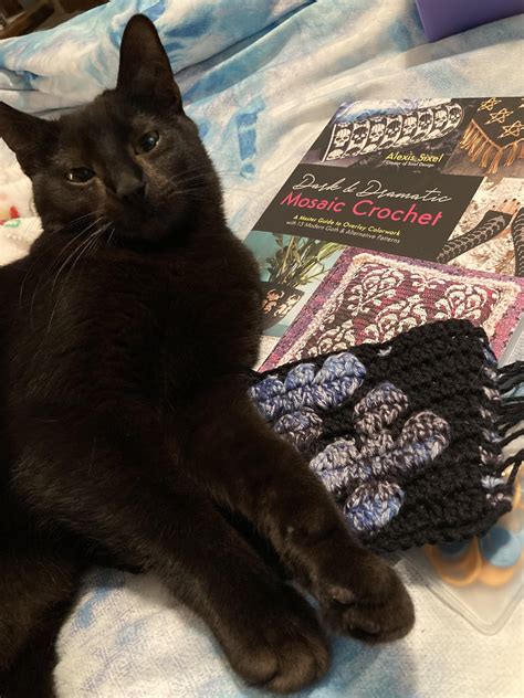 Sherlock Is Loving This Book From Alexis Sixel R Catswhocrochet
