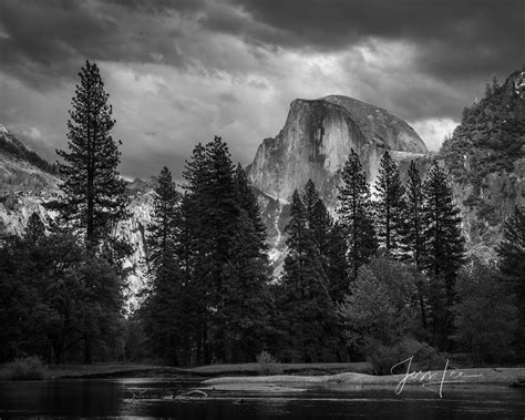 Black And White Landscape Photography Forest