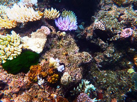 Allison Wallis Wallis A Twitter