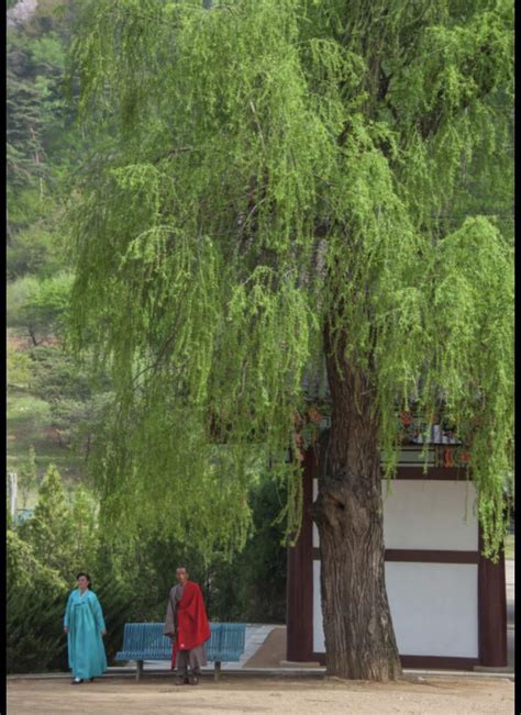 Pics By Eric Lafforgue R Northkoreapics