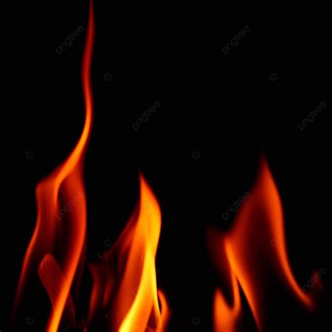 Fire Flame Flammable Ignite Behavior Photo Background And Picture For