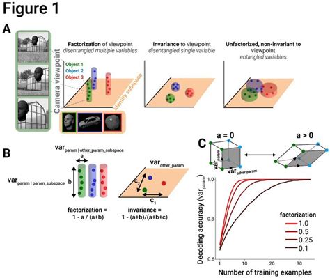 Factorized Visual Representations In The Primate Visual System And Deep Neural Networks ในปี 2024