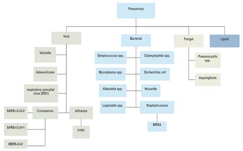 Hierarchical Structure Of The Most Prevalent Pneumonia Download