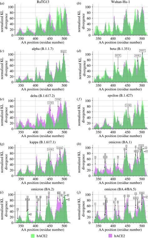 Binding Interaction Of The Different Sars Cov 2 Variants With Bace2 And