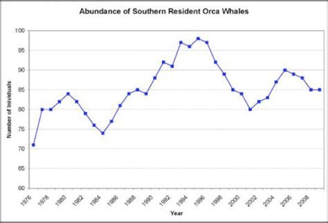 Population Growth Orca Observations