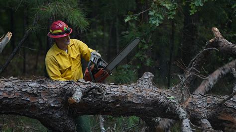 Scdot Project Delivery Employees Of The Year Scdot Project Delivery