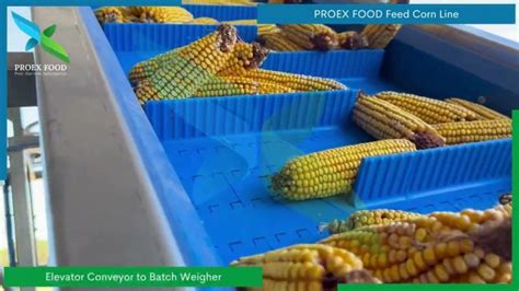 Proex Food Llc On Linkedin Efficient Game Corn Processing Line