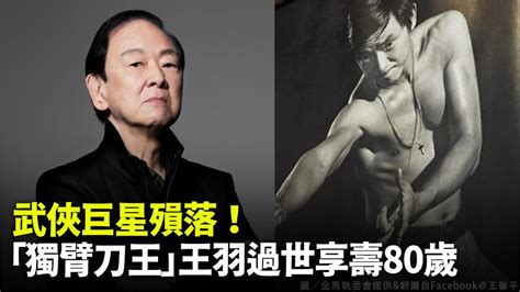 「獨臂刀王」王羽今晨辭世享壽80歲 女兒王馨平悲痛證實