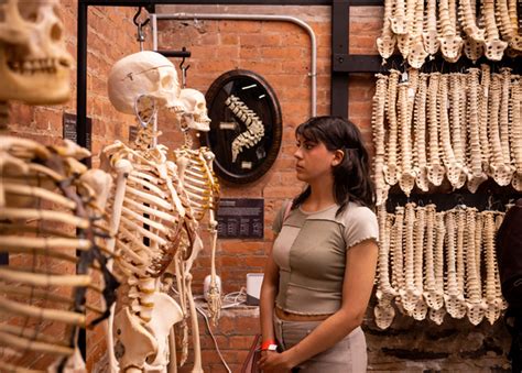 Skeletons Are Not So Spooky Scary At The Bone Museum