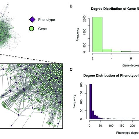 Gene Phenotype Gp Network A The Gp Network Green Nodes