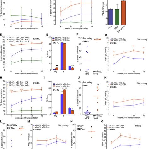 Mll Af4 Expression Leads To A Mild Myeloid Expansion A Myeloid Colony