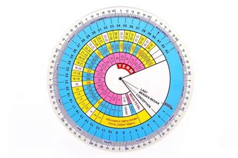 Fresh Plastic Pregnancy Chart Gestational Calculator At ₹ 60piece In