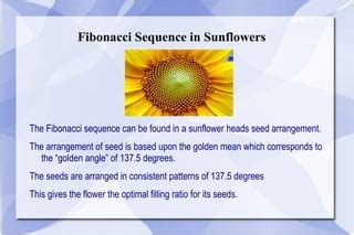 Fibonaccisequence 101203110215 Phpapp02pdf