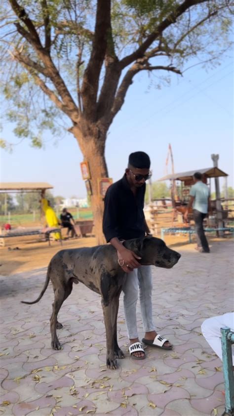 Tilak Patel Tilakpatel3 • Instagram Photos And Videos