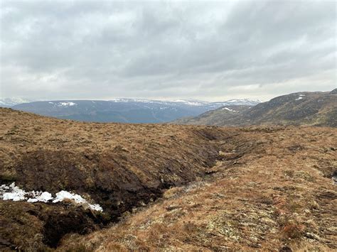 A Monthly Update Of Events At Kildermorie Estate