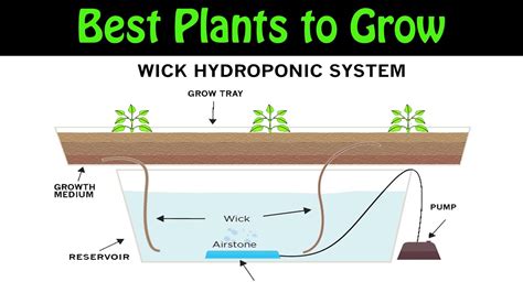 Hydroponics Wick System