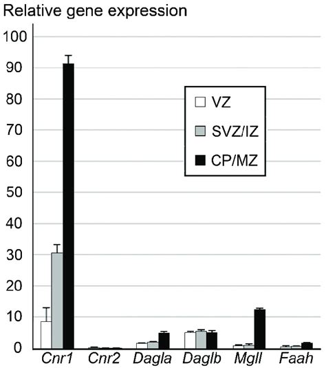 Quantitative Whole Transcriptome Mrna Sequencing Data Of The Download Scientific Diagram