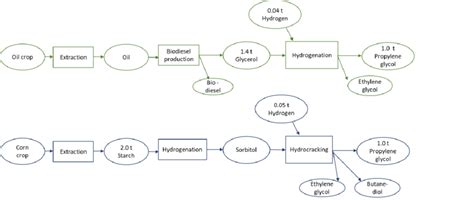 Value Chain Of Bio Based Propylene Glycol Source Authors Elaboration