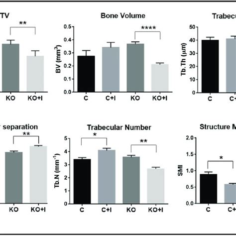 Micro Ct Scans Showing Bone Status From Femur And Tibia Evaluation Of Download Scientific