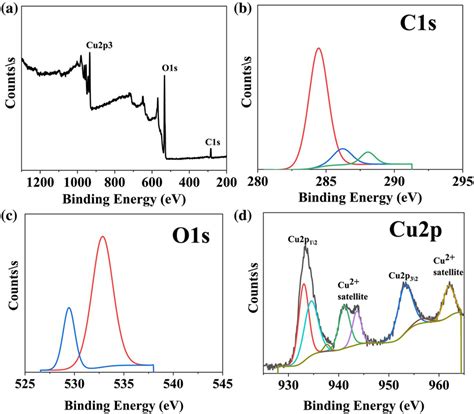 Xps Analysis Of Cuoc A Survey B C1s C O1s And D Cu2p Download Scientific Diagram