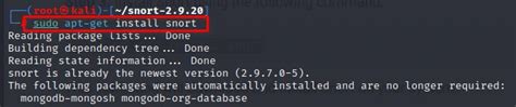Snort Intrusion Detection System Prevention System Installation Use