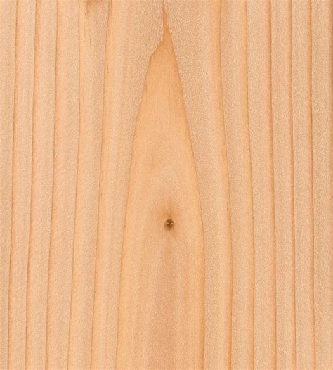 Douglas Fir The Wood Database Softwood