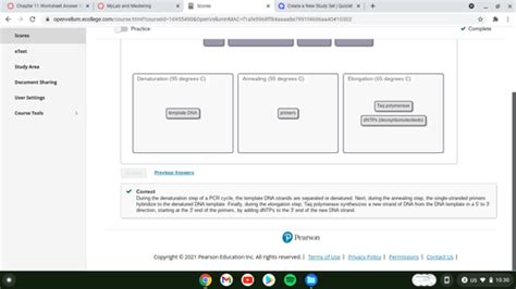 Genetics Chapter Flashcards Quizlet