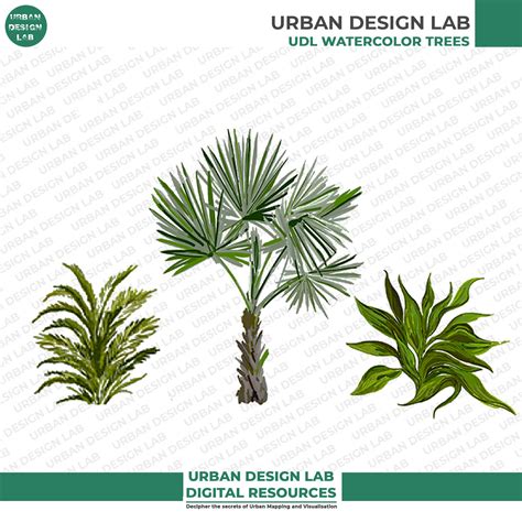 Trees Palm Trees Shrubs Front View Elevation And Top View