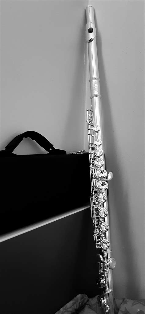 Mence ️ Adlı Kullanıcının Flûte Panosundaki Pin Yan Flüt Flüt Hedef Panosu