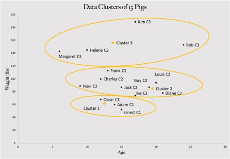 Data Cluster Definition Example And Cluster Analysis Analyst Answers