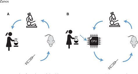 Figure 1 From Closed Loop Neuromodulation In Physiological And Translational Research