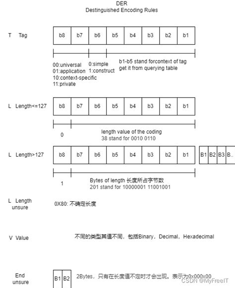 Der编码 Distinguished Encoding Rulesder Encoding Csdn博客