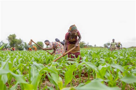 Imf Mission Reviews Rwandas Economic Reform Program Kt Press