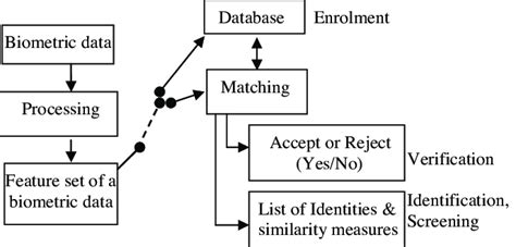 A Generic Biometric System Download Scientific Diagram