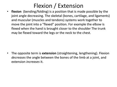 Pelvis Shoulder Anatomy Pdf