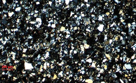 10 Thin Section Xpl Of A Typical Sandstone From The Early Miocene