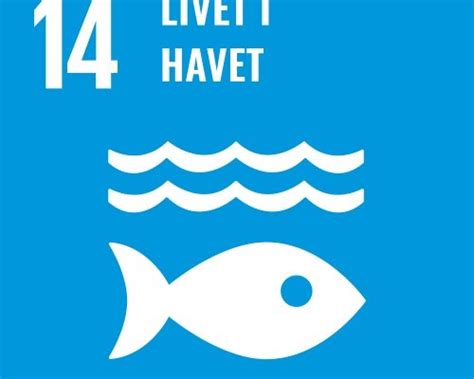 14 Livet I Havet Bærekraftsmålene For Norge